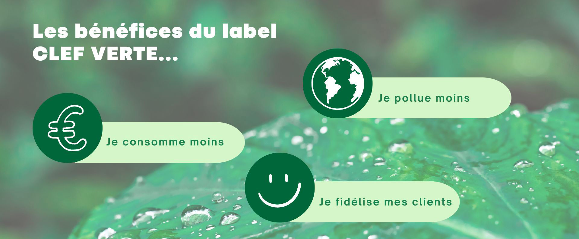 Préparez-vous au Label Clef Verte - Tourisme Hérault Espace pro